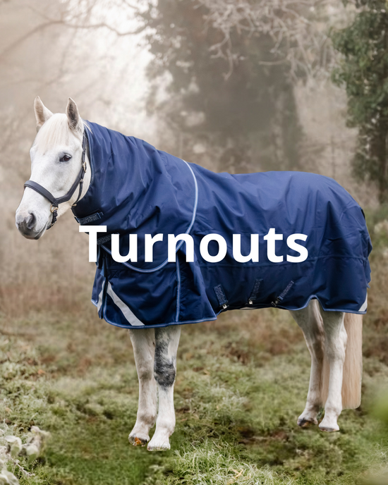 Leader Equine - Leaders in horse wear and care