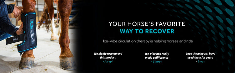 Leader Equine - Leaders in horse wear and care