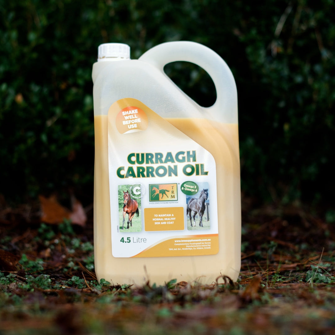 Curragh Carron Oil – Leader Equine