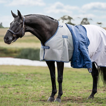 Leader Equine - Leaders in horse wear and care