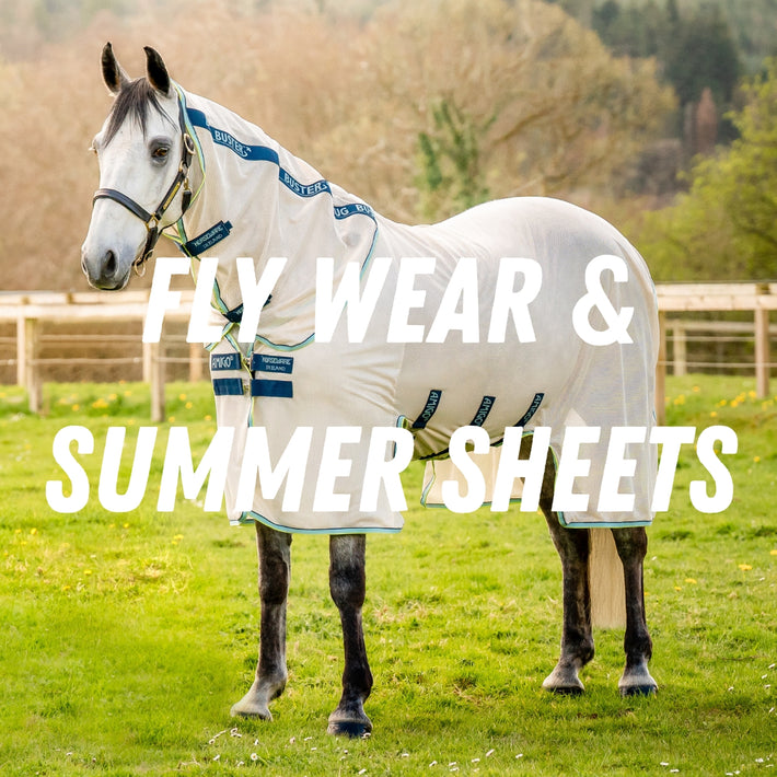 Leader Equine - Leaders in horse wear and care