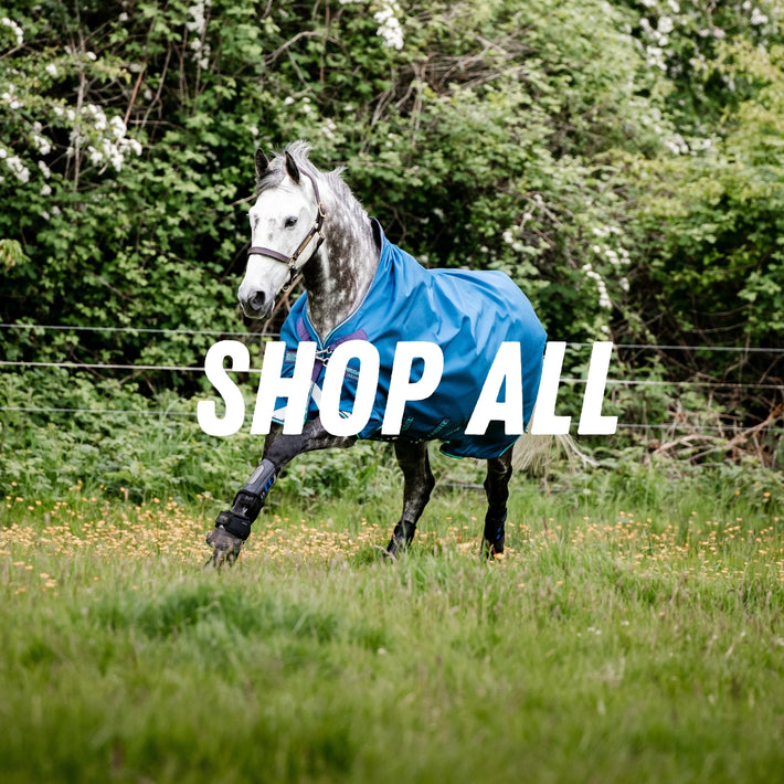 Leader Equine - Leaders in horse wear and care