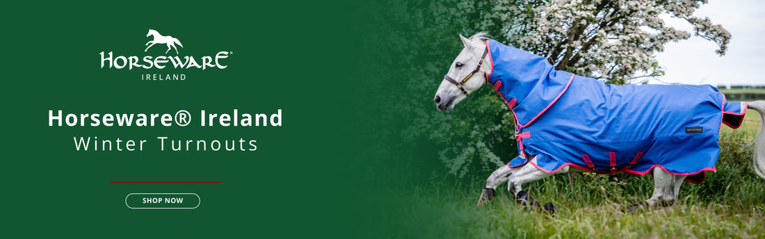 Leader Equine - Leaders in horse wear and care
