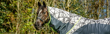 Leader Equine - Leaders in horse wear and care