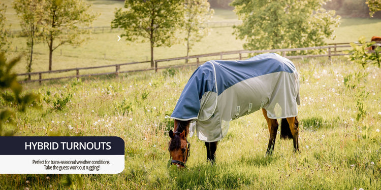 Leader Equine - Leaders in horse wear and care
