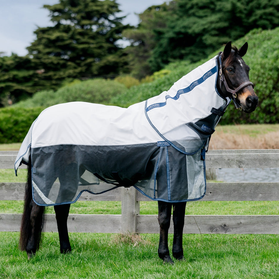 Leader Equine - Leaders in horse wear and care
