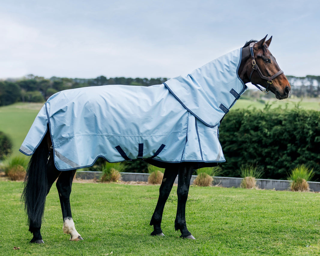 Leader Equine - Leaders in horse wear and care