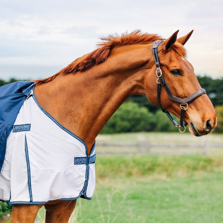 Leader Equine - Leaders in horse wear and care