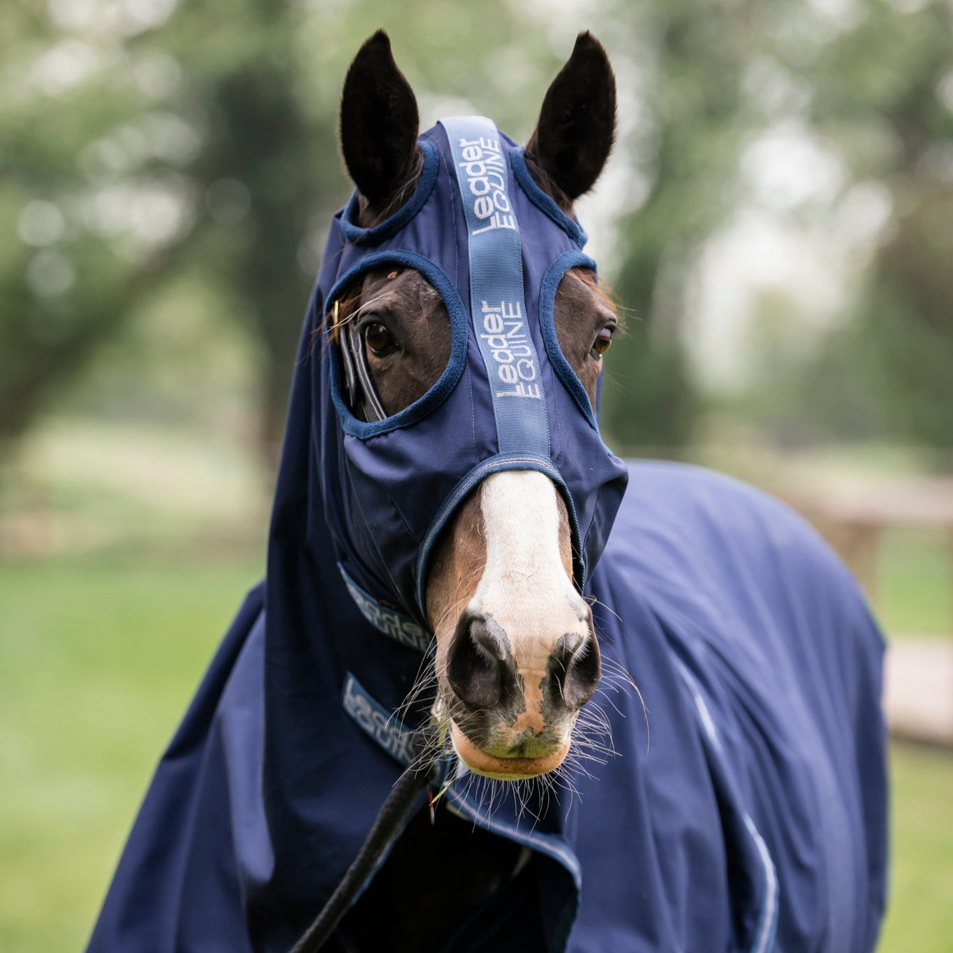 LE Universal Show Hood – Leader Equine