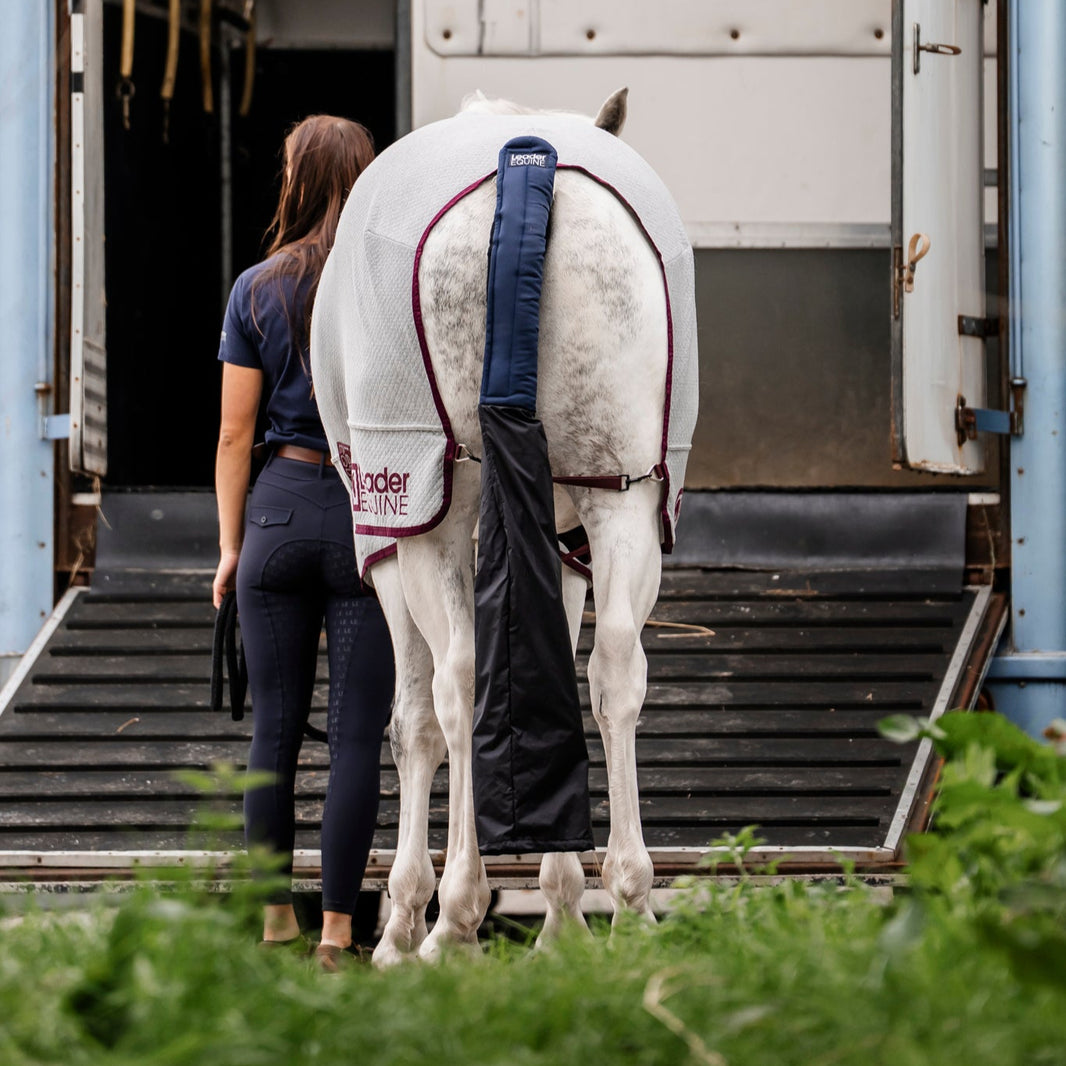 Leader Equine - Leaders in horse wear and care
