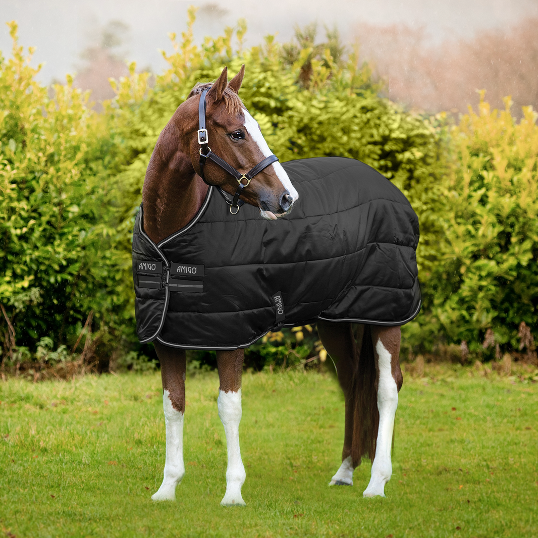 Amigo Horse Rugs – Leader Equine