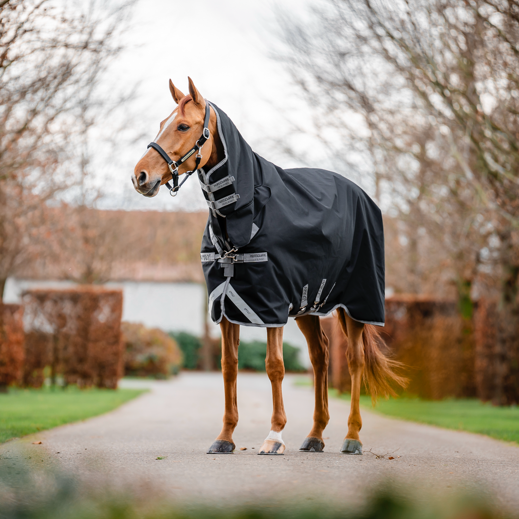 Leader Equine - Leaders in horse wear and care