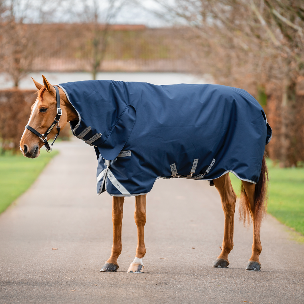 Leader Equine - Leaders in horse wear and care