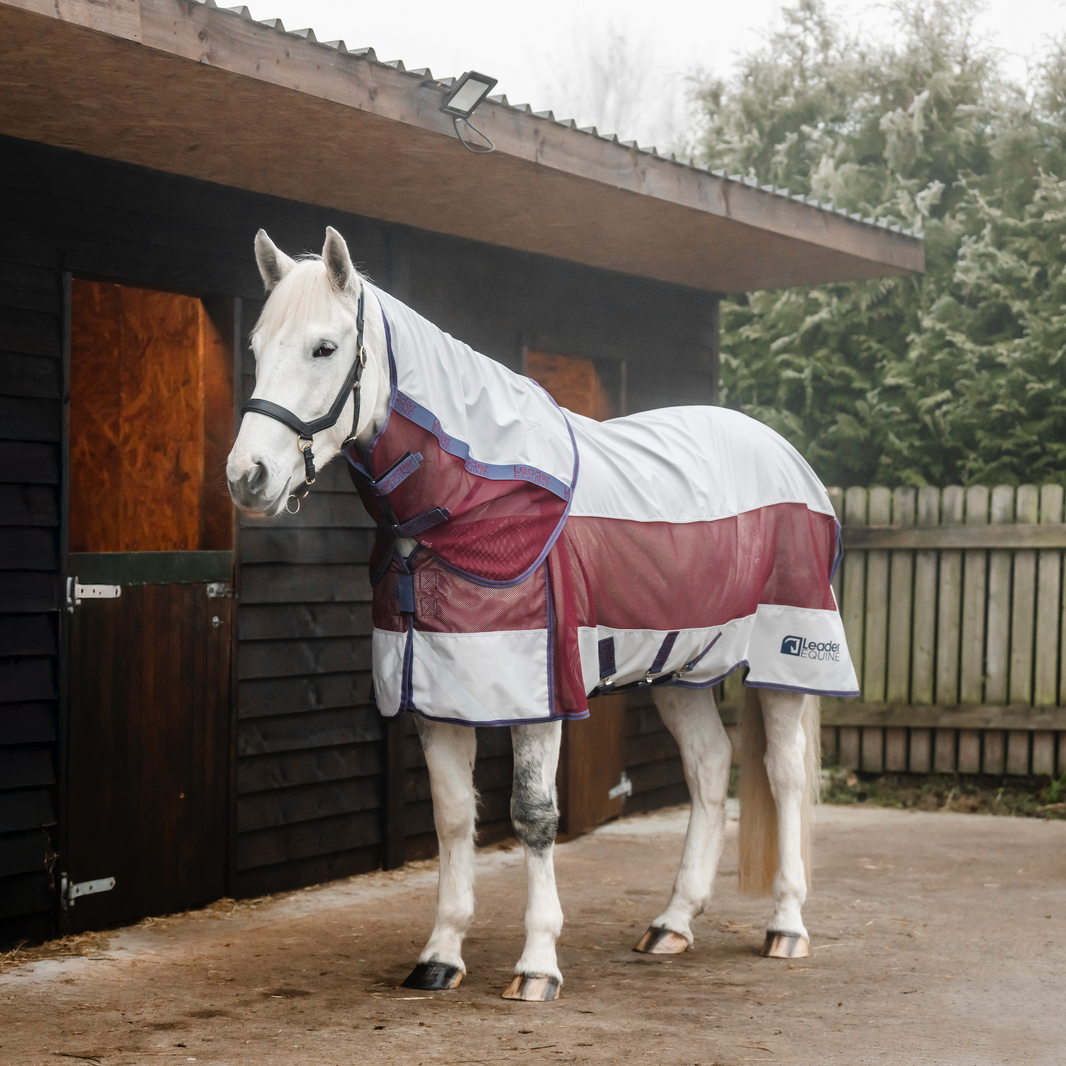 Leader Equine - Leaders in horse wear and care