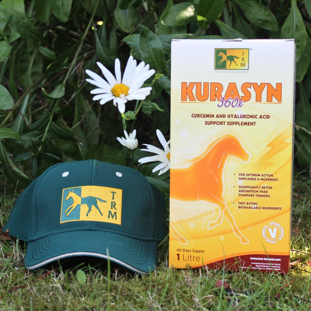 Kurasyn 360x – Leader Equine