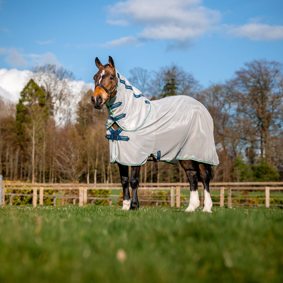 Fly & UV Protection Rugs – Leader Equine