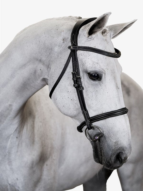 PSOS Ocala Bridle – Leader Equine