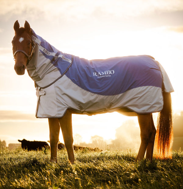 Leader Equine - Leaders in horse wear and care